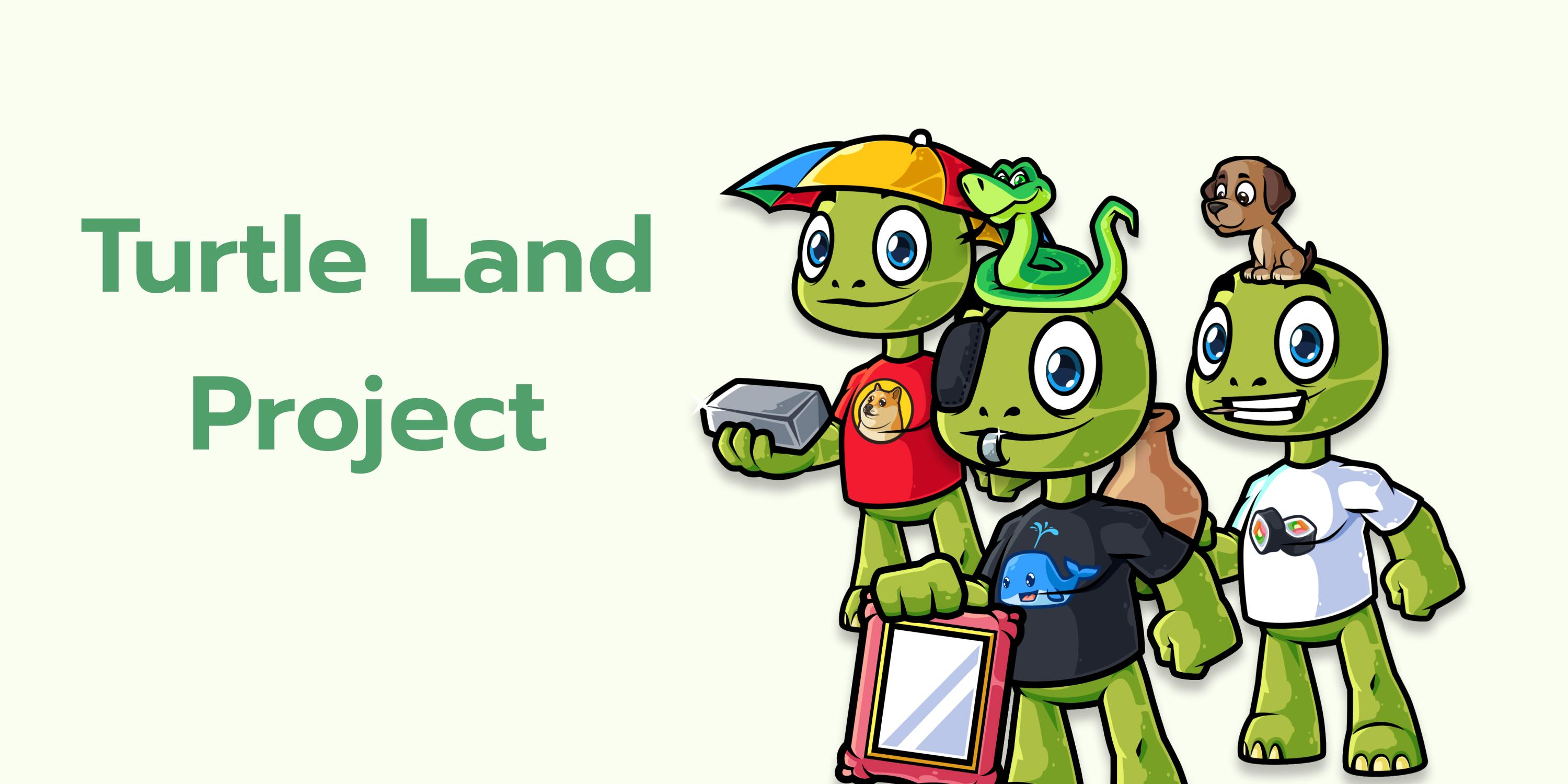 Introducing Turtle Land — Turtle Land