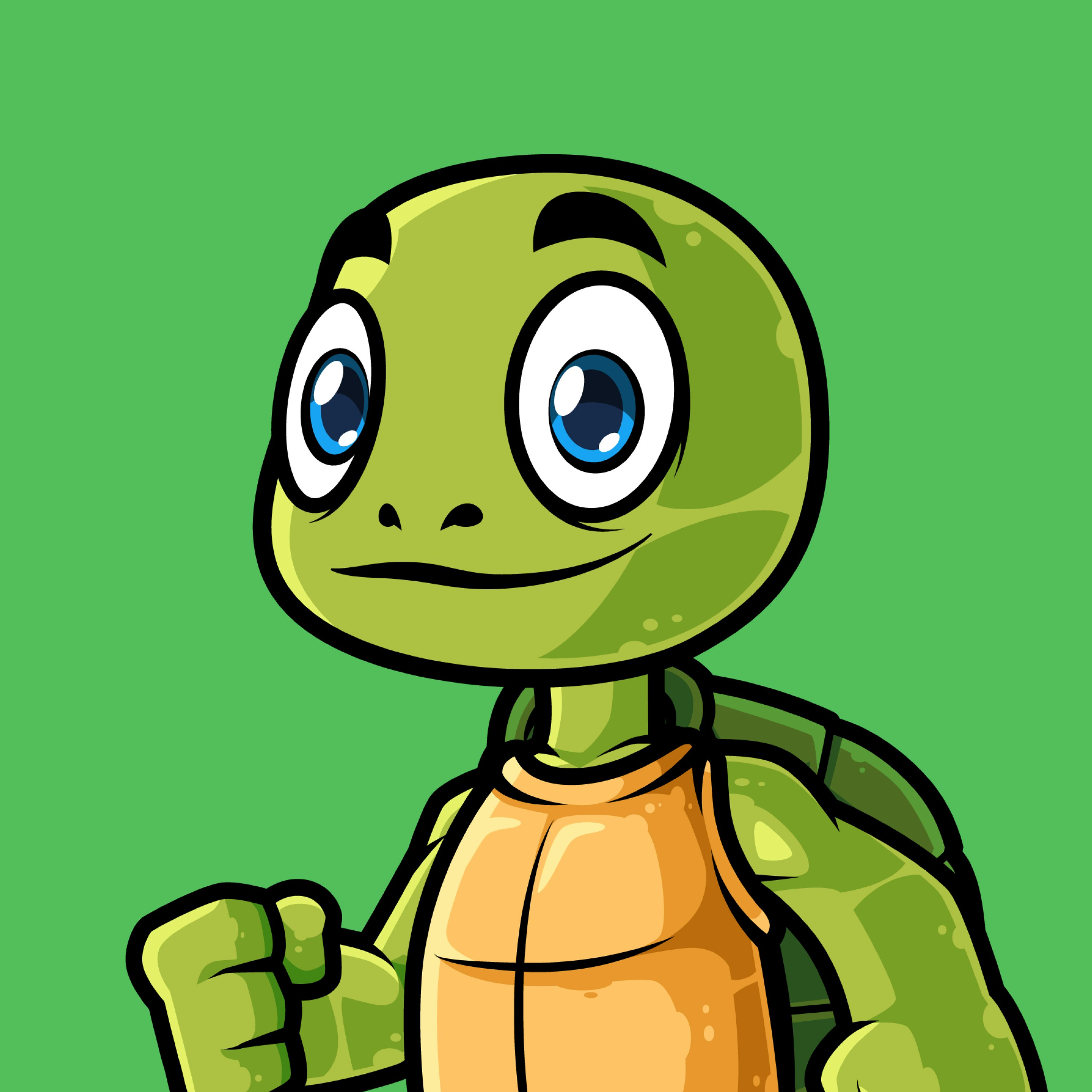 Introducing Turtle Land — Turtle Land