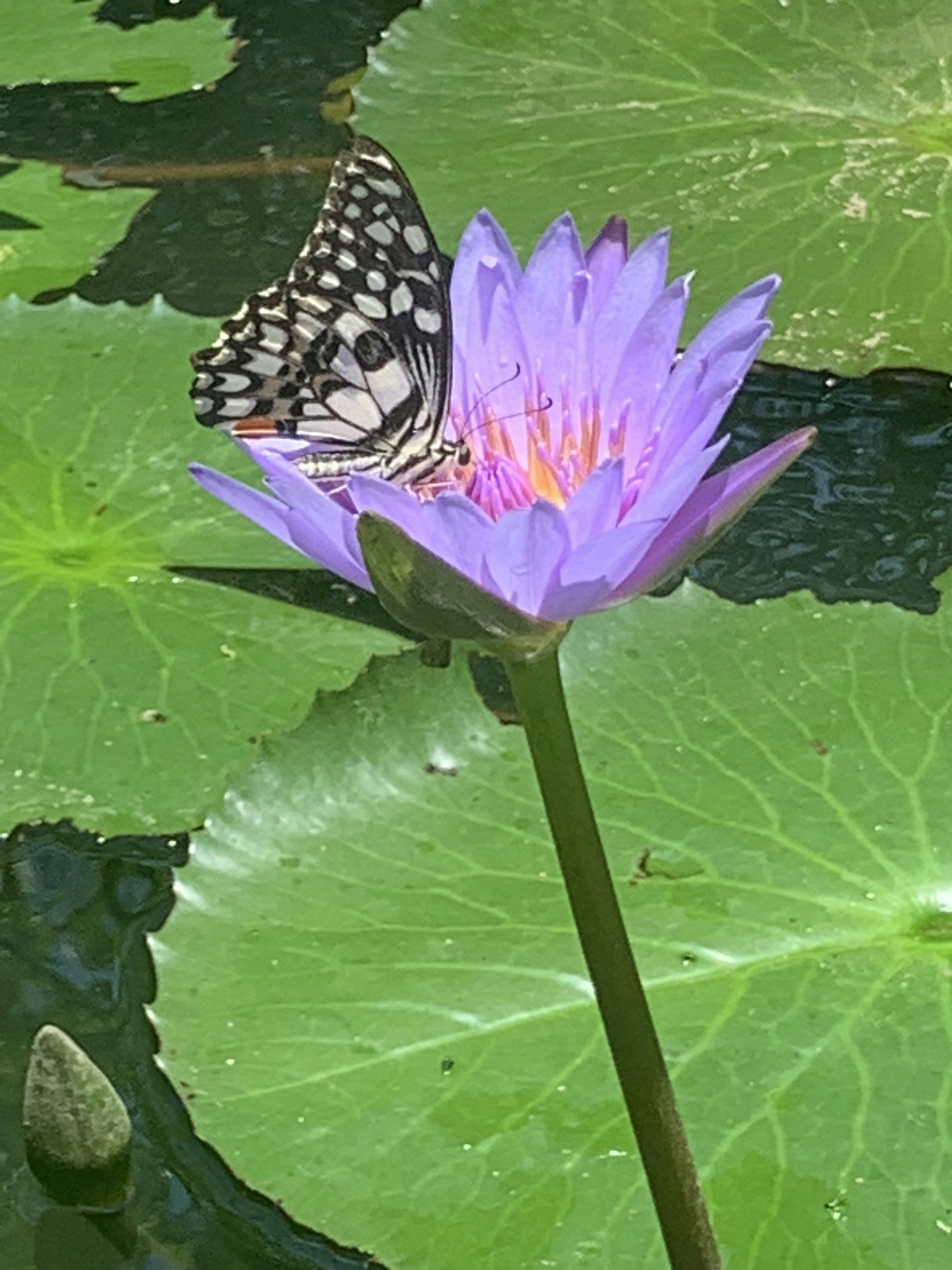 What I Believe In — fuce